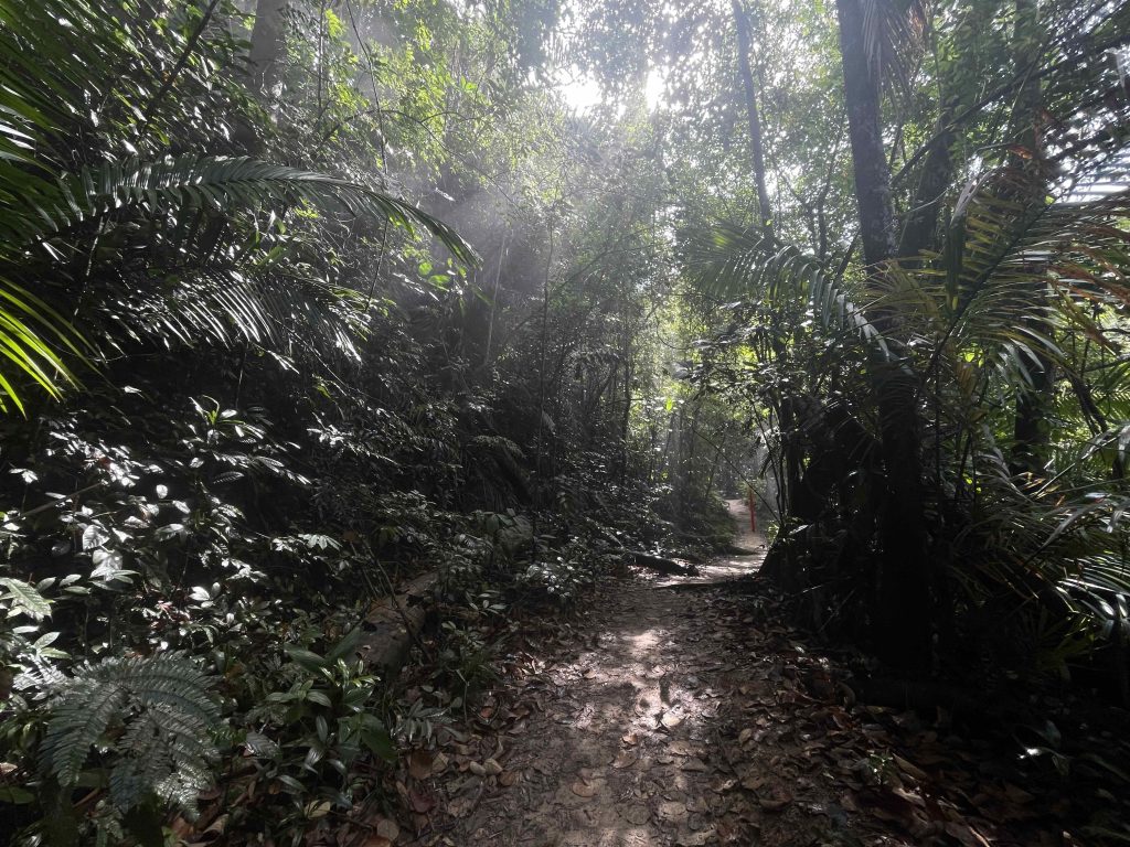 My Experience Hiking Gunung Angsi - nerd🔥salaryman