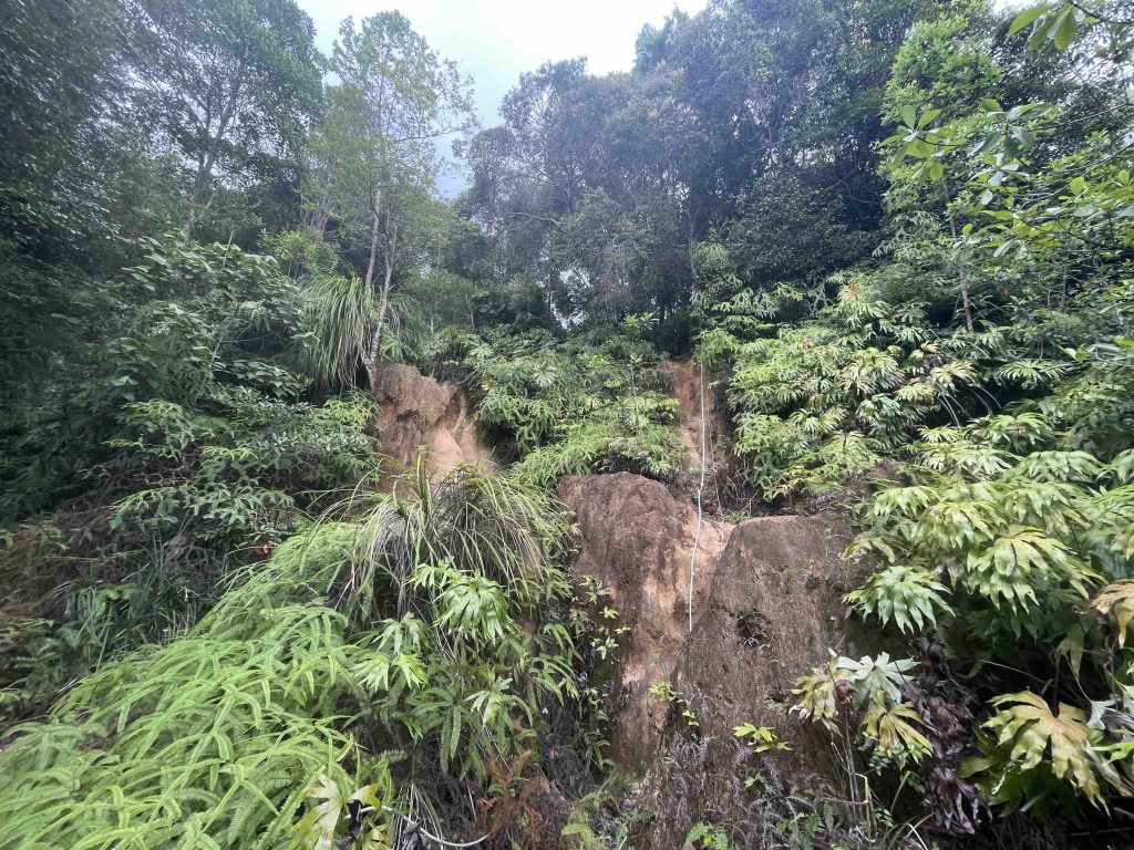 My Experience Hiking Gunung Angsi - nerd🔥salaryman